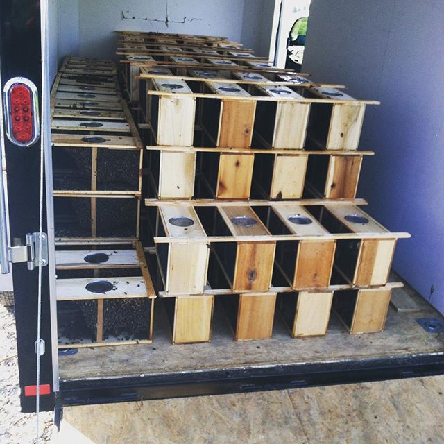 THE HIVE: CHICAGO'S BEEKEEPING SUPPLY STORE